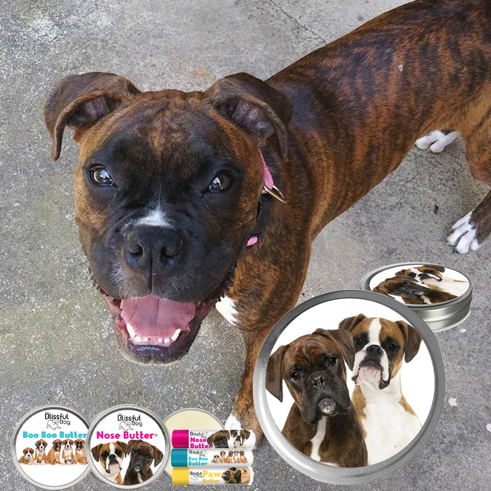 Boxer Combo Review - The Blissful Dog