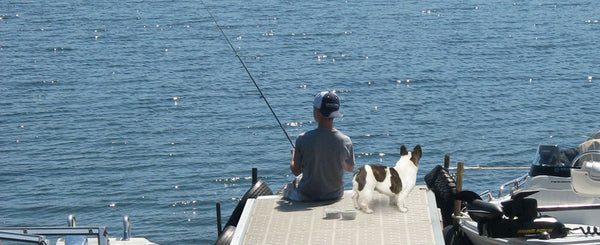 Goodbye to a Dear Friend, Steve's Dog Mudd - The Blissful Dog