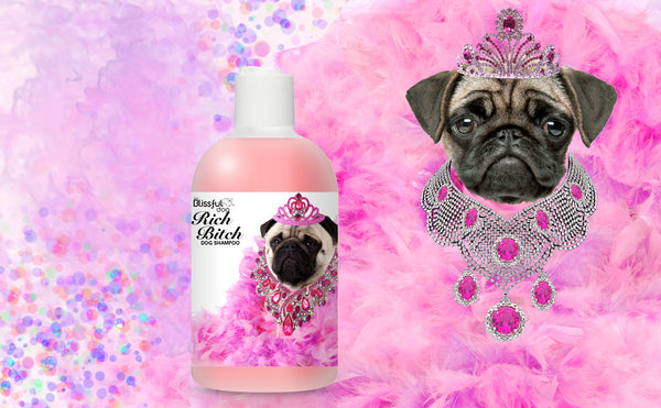 The Blissful Dog Quote for the Day – Pug Bling It Out