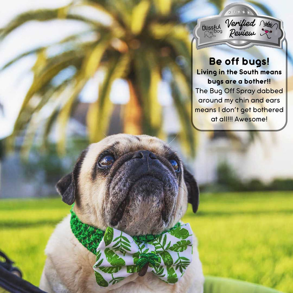 Bug Off Spray Review | Be Off Bugs! - The Blissful Dog
