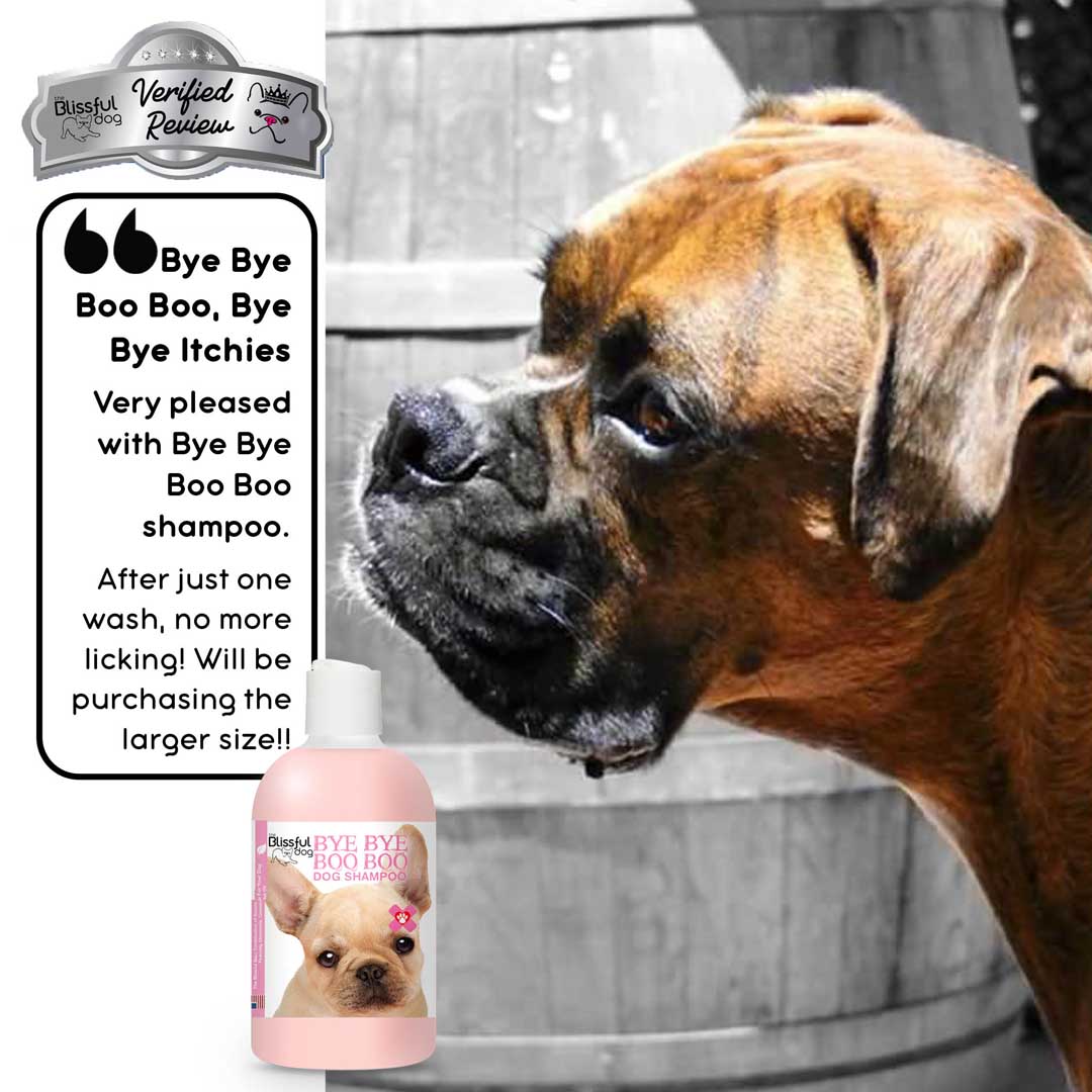 Bye Bye Boo Boo Shampoo Review | Bye Bye Itchies - The Blissful Dog