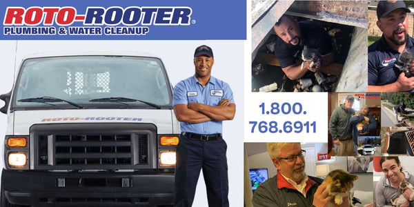 Roto-Rooter Saving Lives! Yes, Really! - The Blissful Dog