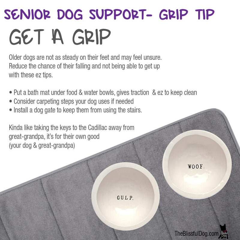 The Blissful Dog Tip | Help Your Senior Dog Get a Grip
