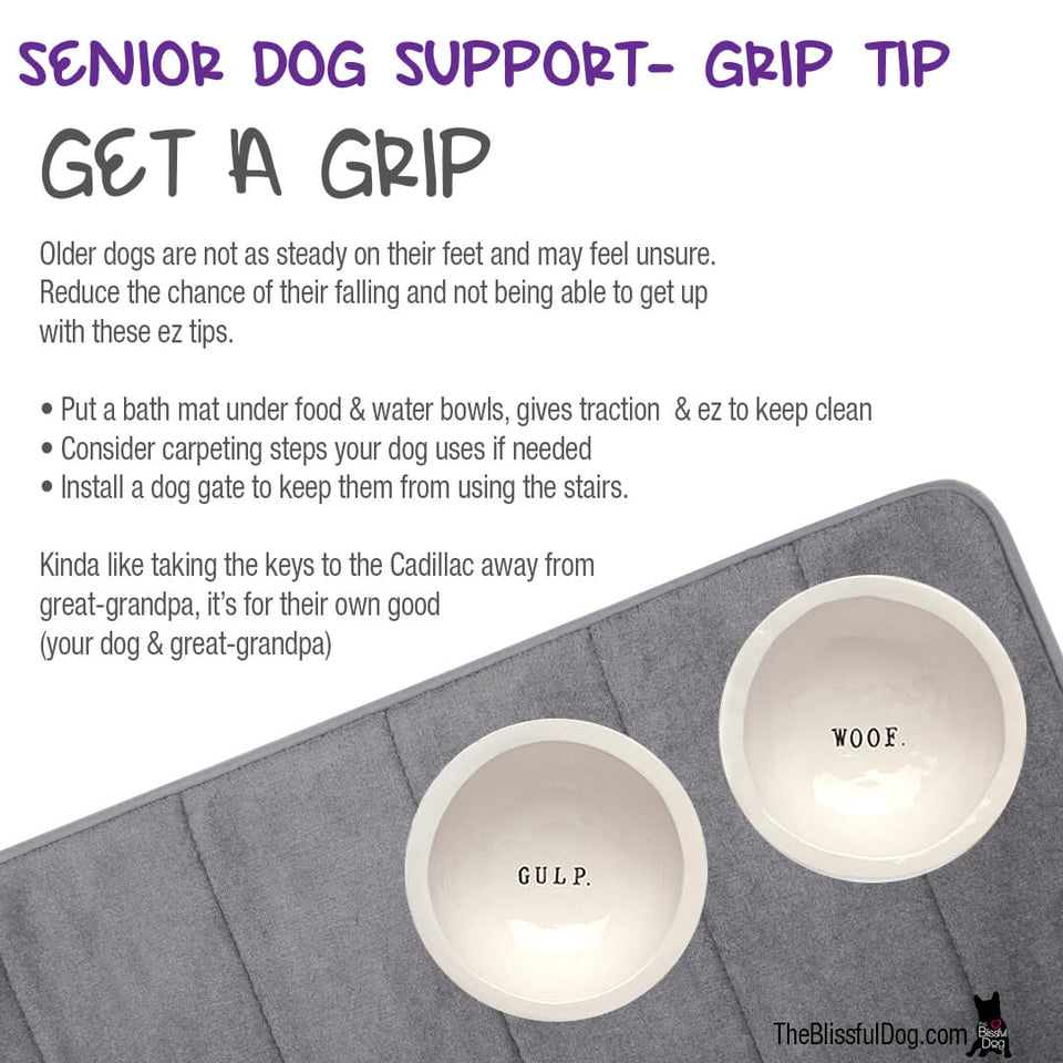 The Blissful Dog Tip | Help Your Senior Dog Get a Grip