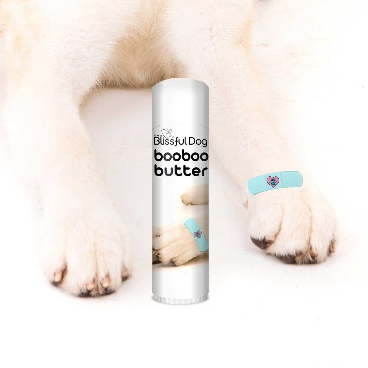 Blissful Dog Boo Boo Butter: Remedy for Dog Skin Irritation - The ...