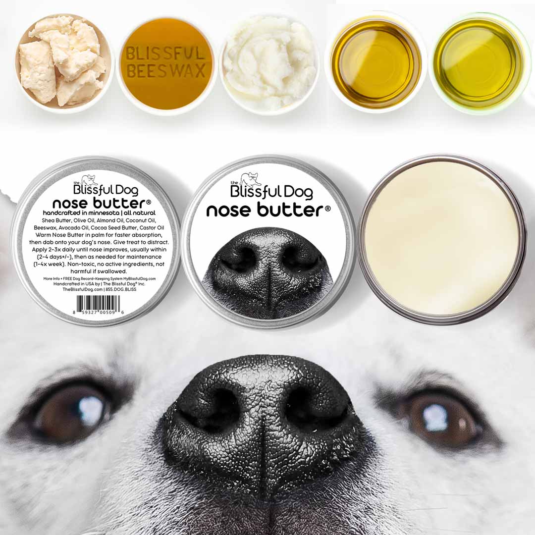 Bichon Frise Nose Butter Handcrafted Natural Balm for Your Dog's Nose ...