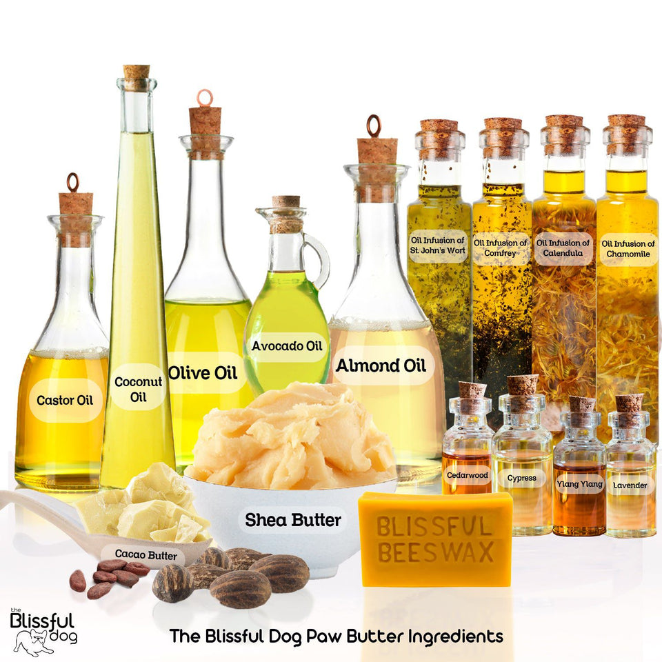 The Blissful Dog PAW BUTTER All Natural Good Stuff for Dry Paw Pads