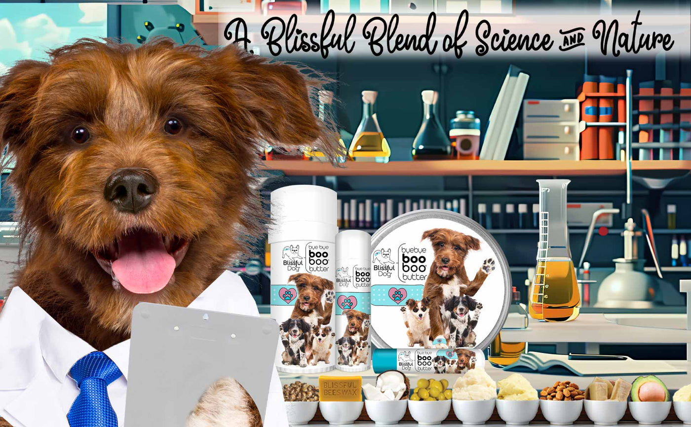 Blissful Dog Boo Boo Butter: Remedy for Dog Skin Irritation - The ...
