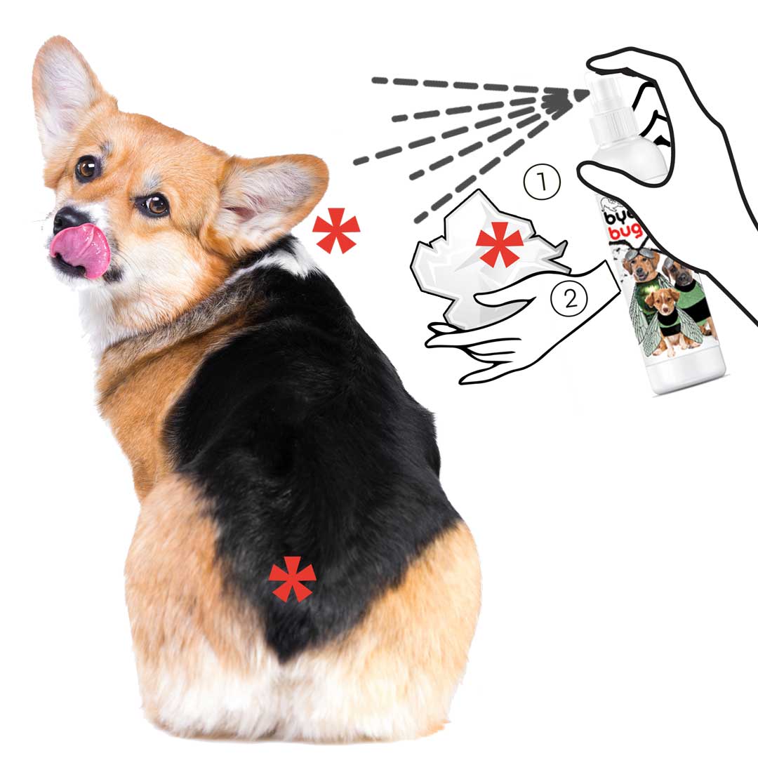 The Blissful Dog Bye Bye Bug™ Spray Banishes Biting Bugs...Naturally