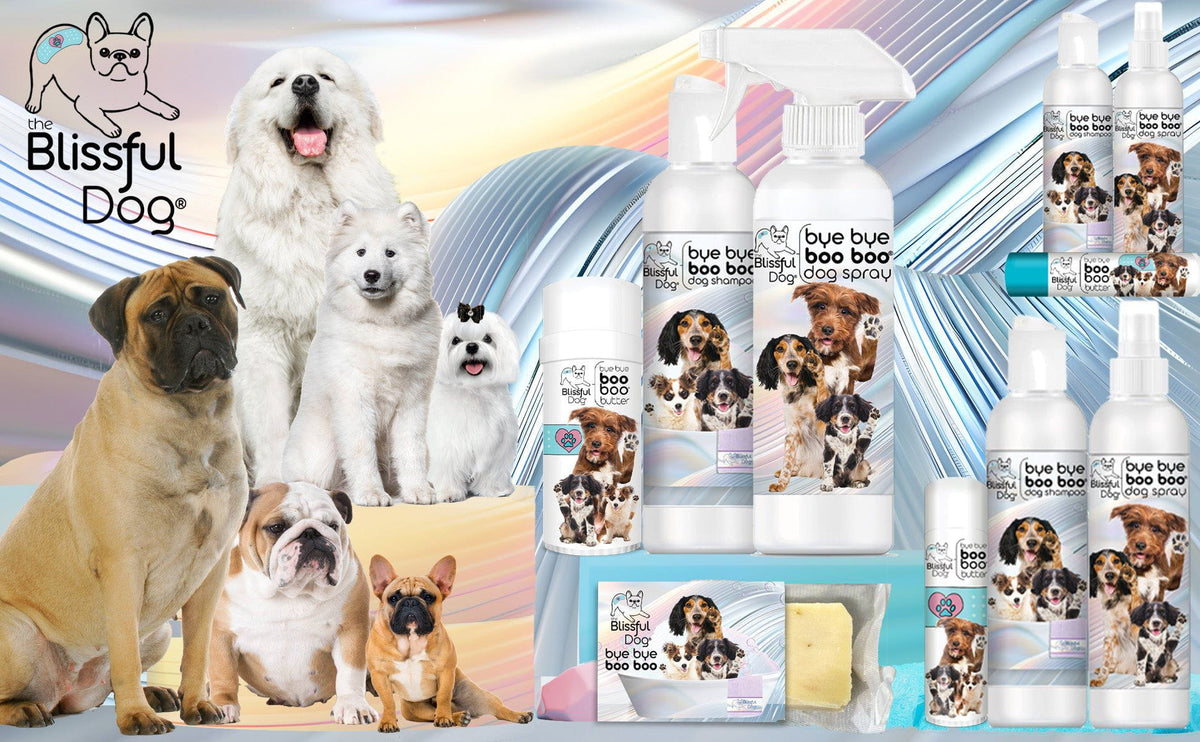 Bye Bye Boo Boo™ Herbal Dog Shampoo for Itchy Skin Irritations - The ...