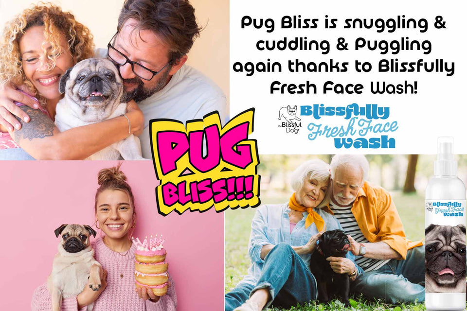 Blissfully Fresh™ Face Wash for Your Pug Face Freshness - The Blissful Dog