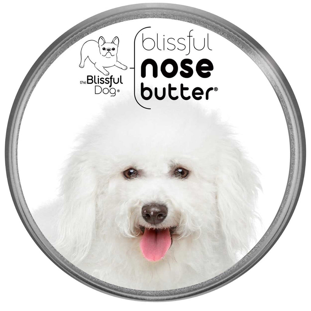 Bichon Frise Nose Butter Handcrafted Natural Balm for Your Dog's Nose ...