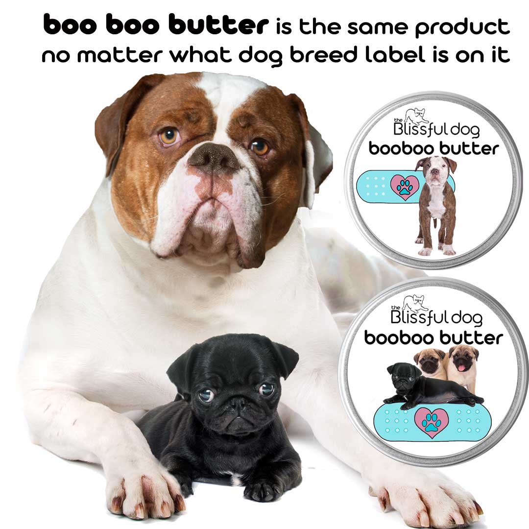 Boo Boo Butter for Doberman Pinscher Skin Irritations, Itchy Spots ...