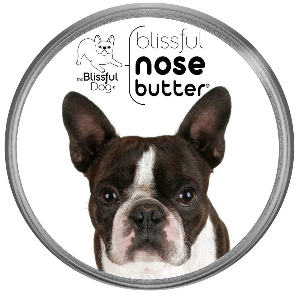 SHOP The Blissful Dog BOSTON TERRIER Collection for Your Dog's Care