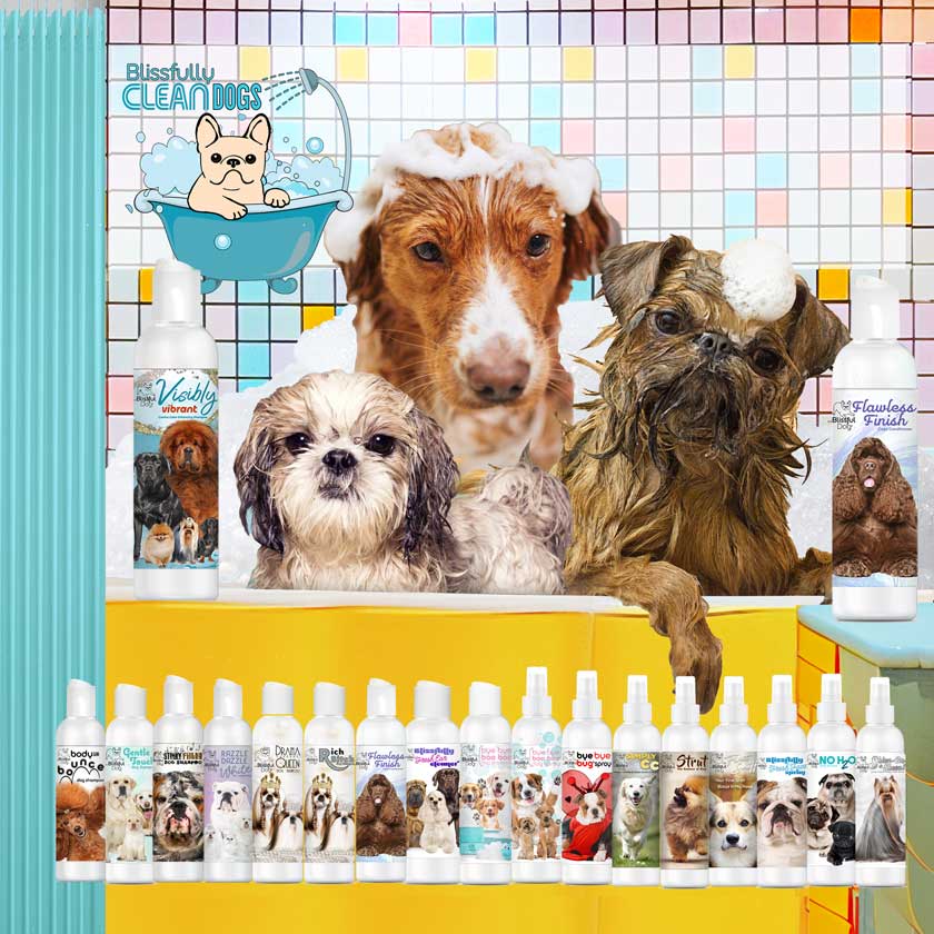 Bring Back the Boop! Natural Dog Nose, Paw & Skin Care for Happy Pups