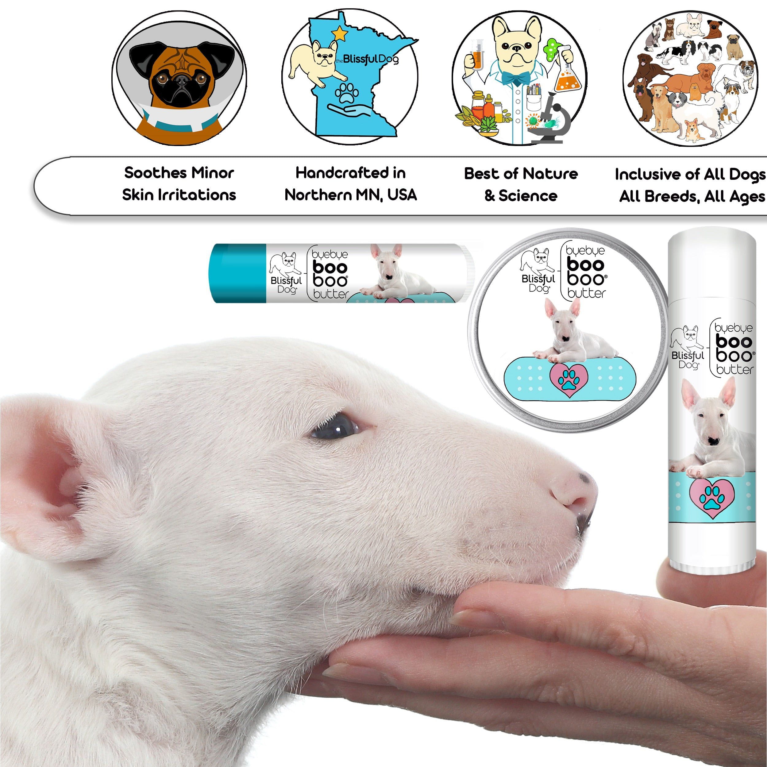 The Blissful Dog 8 Oz Tin Bull Terrier Booboo Butter Dish Staffordshire ...