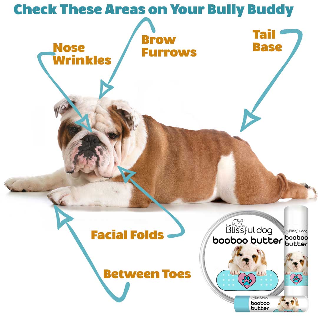 Boo Boo Butter for Doberman Pinscher Skin Irritations, Itchy Spots ...