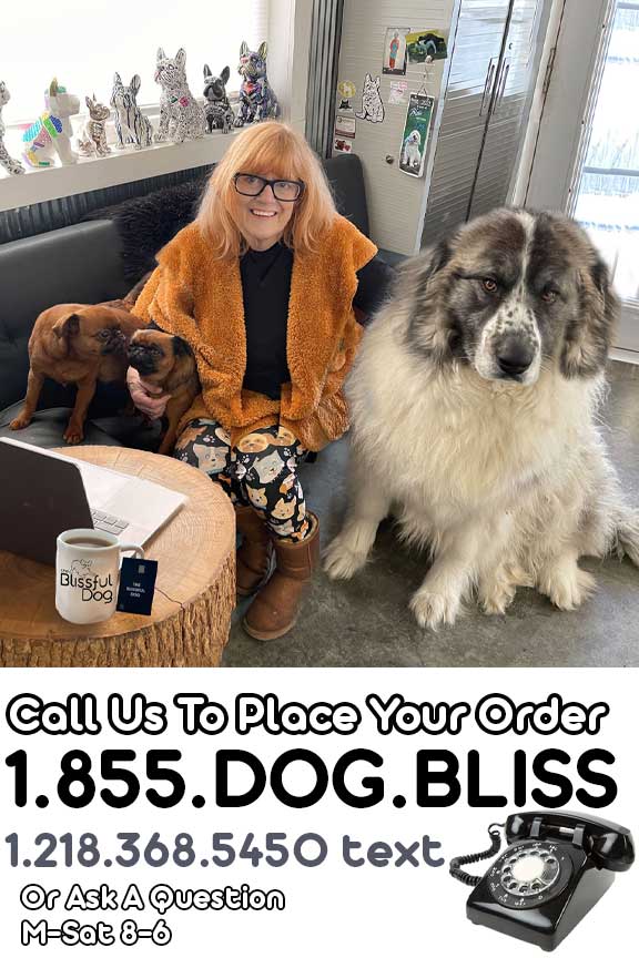 All the Scoop on Dog Elbow Callus Causes, Care and How To Prevent Them ...