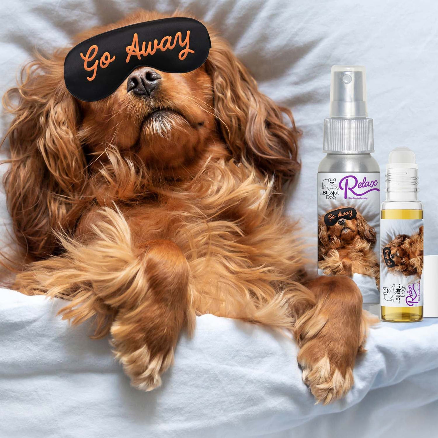 American Bulldog Relax Aromatherapy Calms Fears, Stress, Anxiety+ - The ...