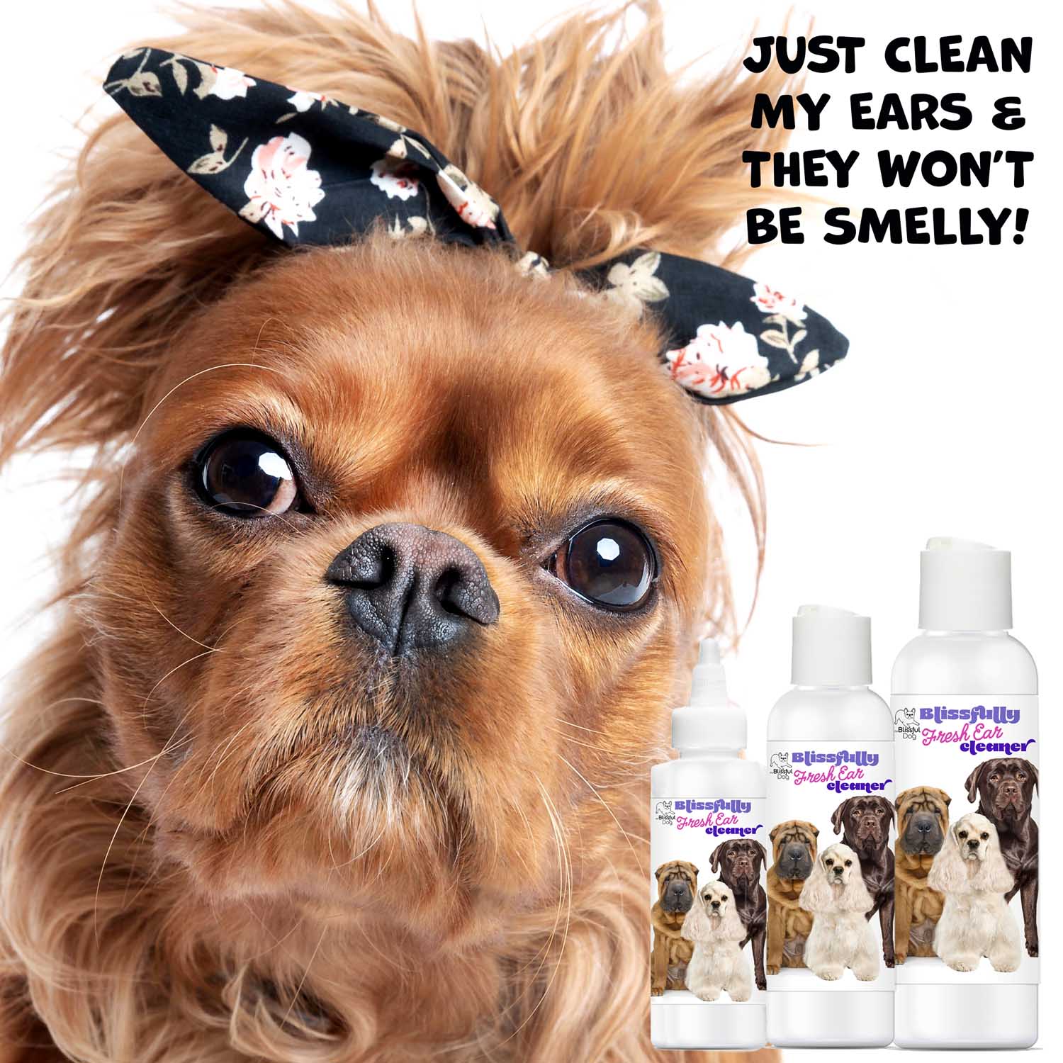 Blissfully Fresh™ Dog Ear Cleaner | Ear Wash Solution for Dogs - The ...