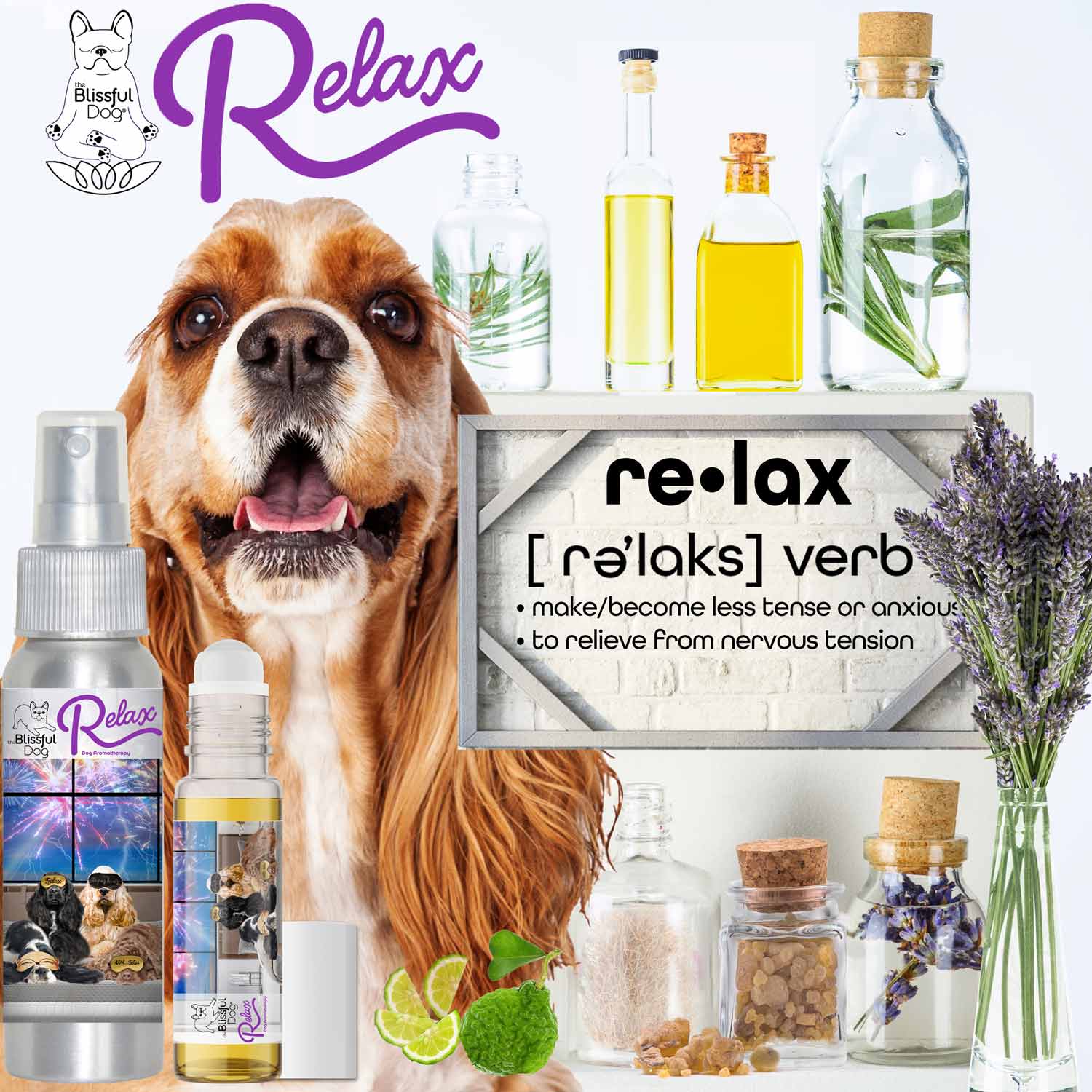 Is your Cocker Spaniel Afraid of Thunder? Try Relax Dog Aromatherapy ...