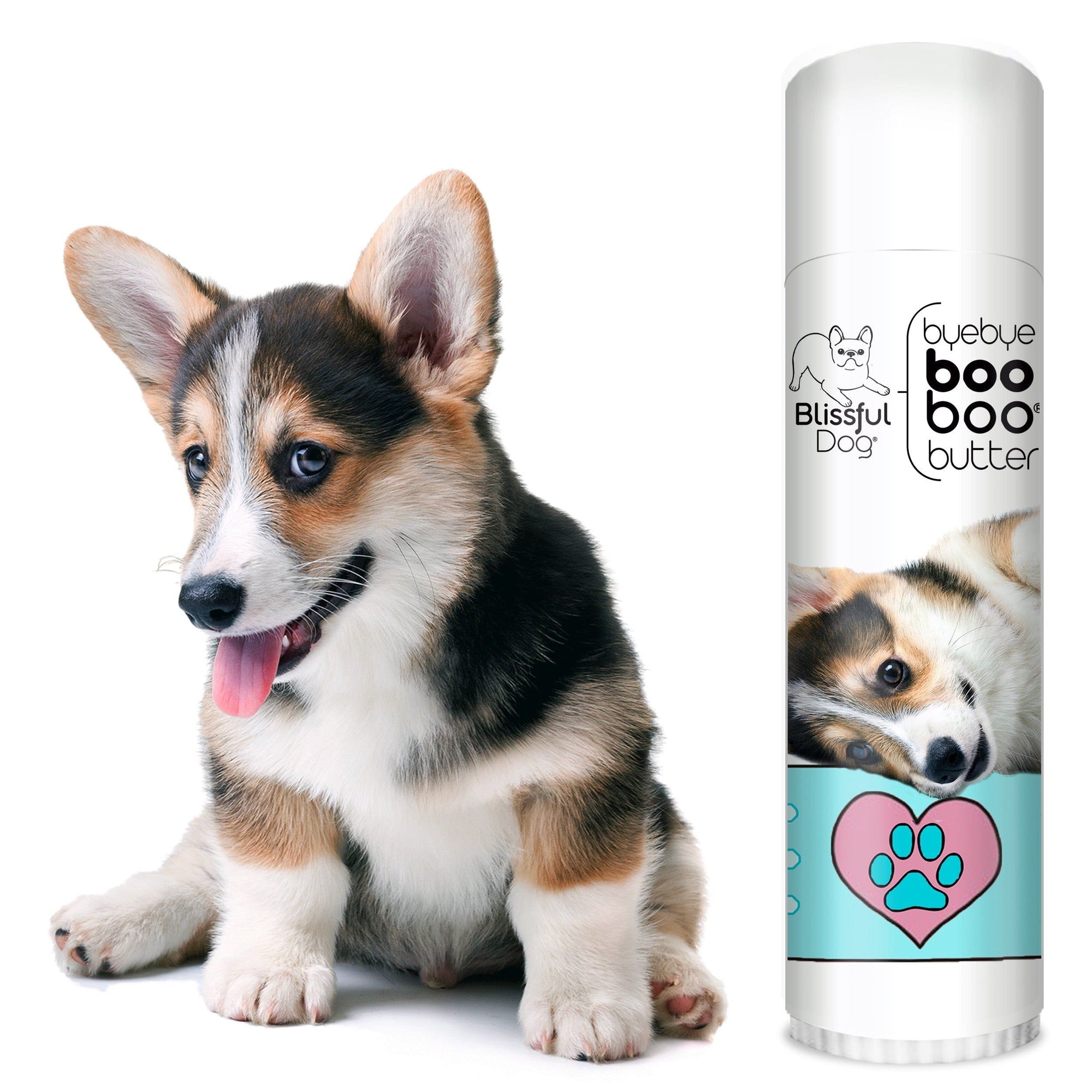 Boo Boo Butter Herbal Balm for Corgi Skin Irritations, Itchies & Owies ...