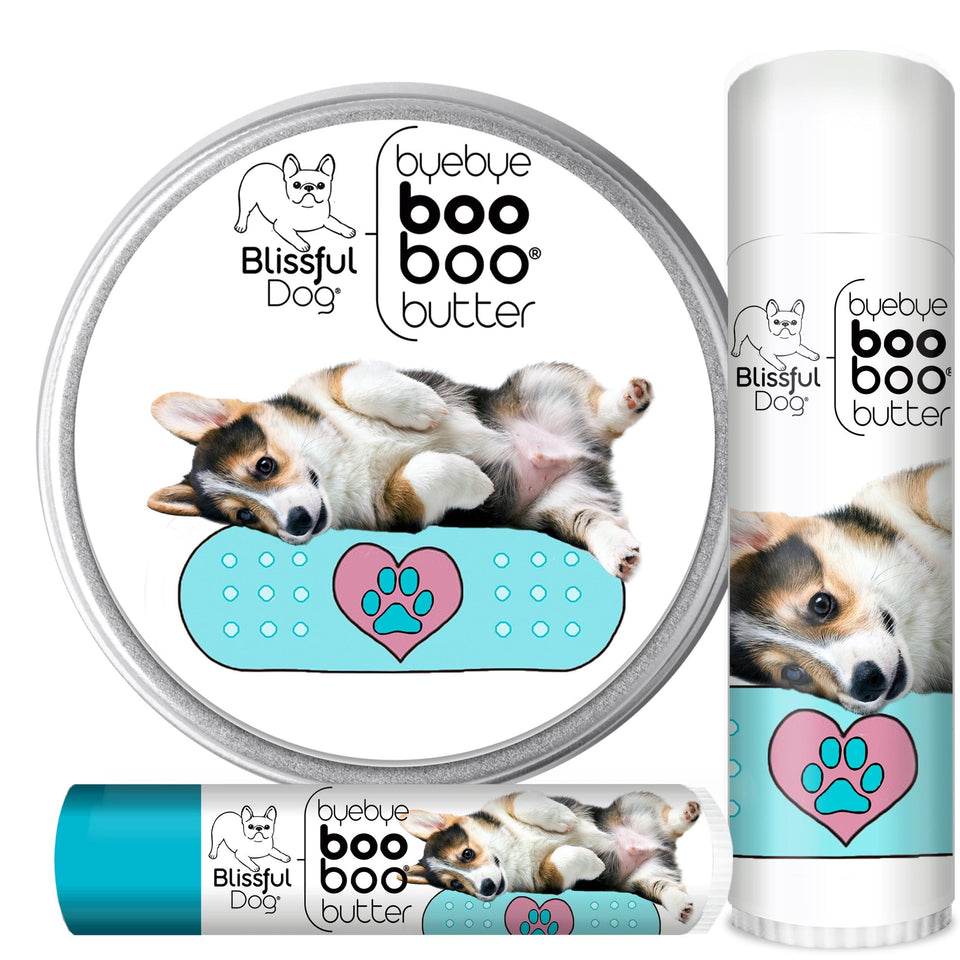 Shop The Blissful Dog Corgi Collection For Your Blissful Corgi's Needs