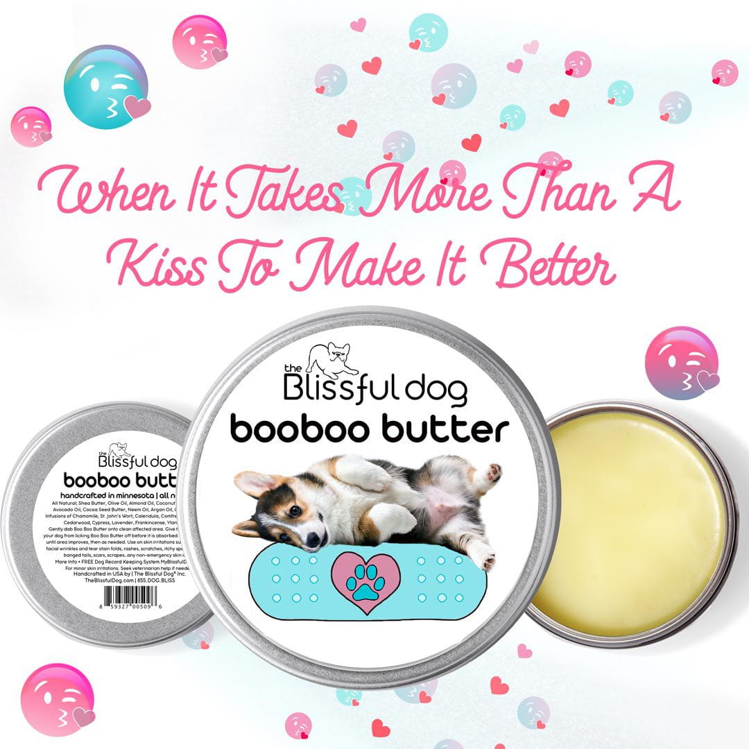 The Blissful Dog Boo Boo Butter For Chinese Crested Skin Care