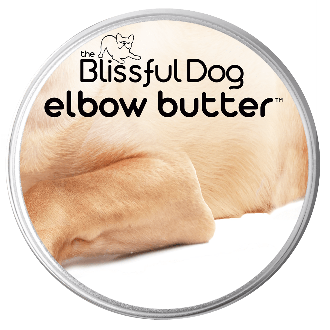 All the Scoop on Dog Elbow Callus Causes, Care and How To Prevent Them ...