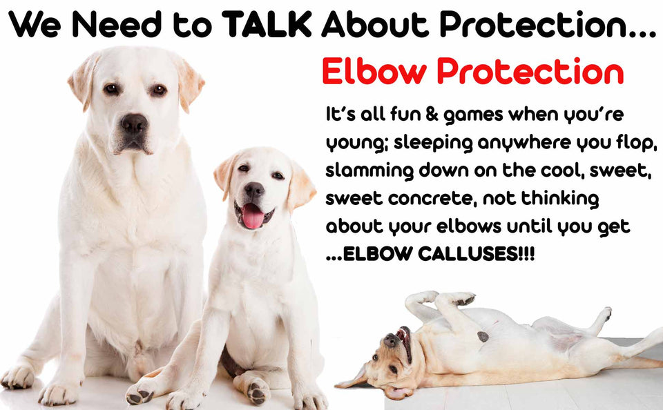 Using The Blissful Dog Elbow Butter for Dog Elbow Callus Care