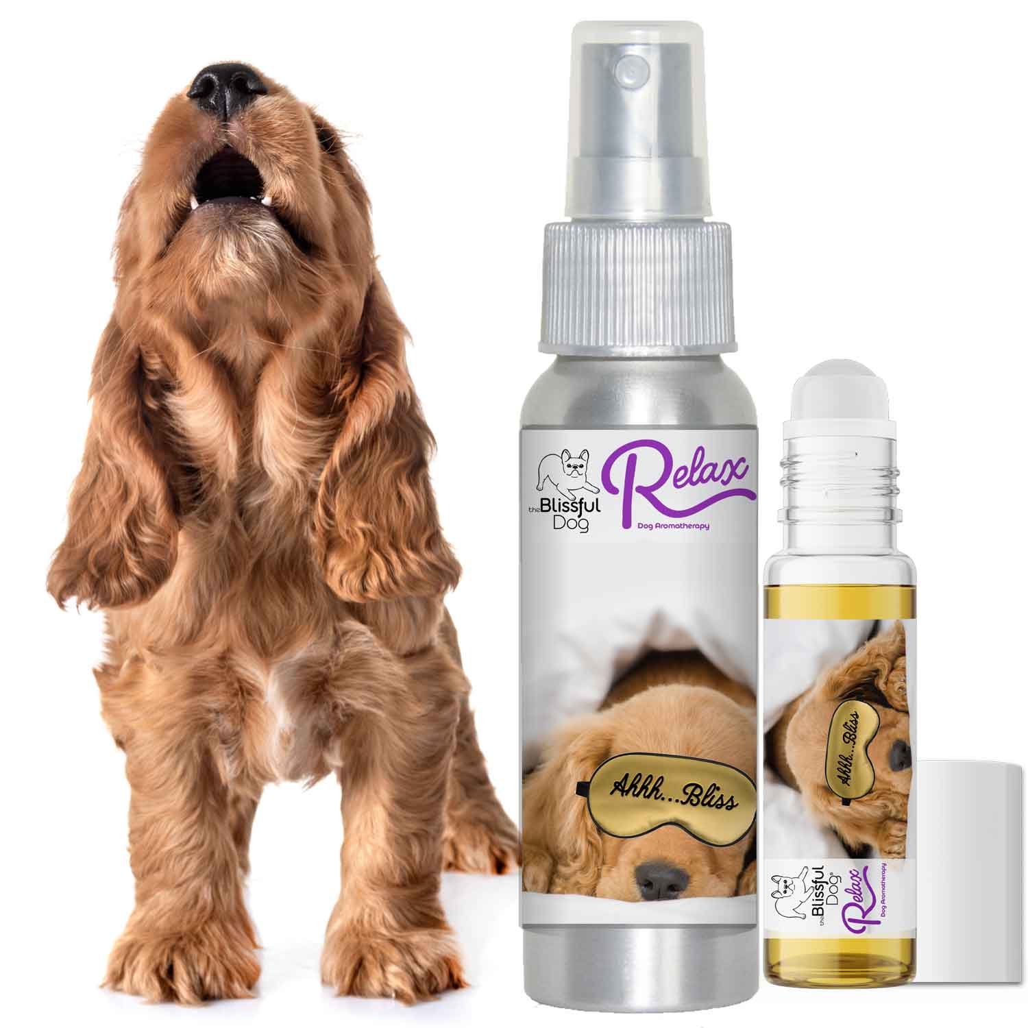 English Cocker Spaniel Dog Care & Grooming Supplies Online - The ...