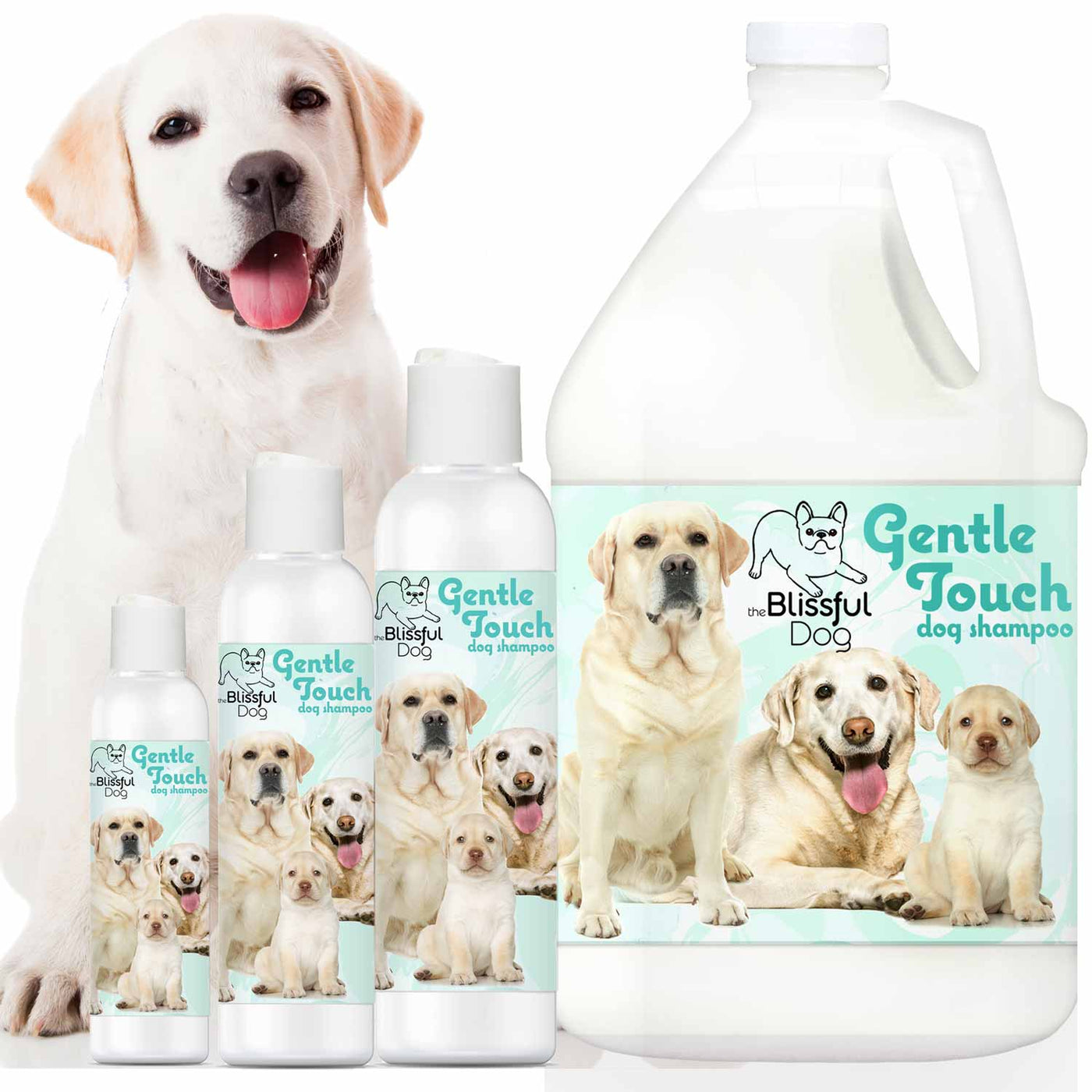 Gentle Touch Puppy Shampoo & Soap for Puppies, Seniors, Sensitive Dogs ...