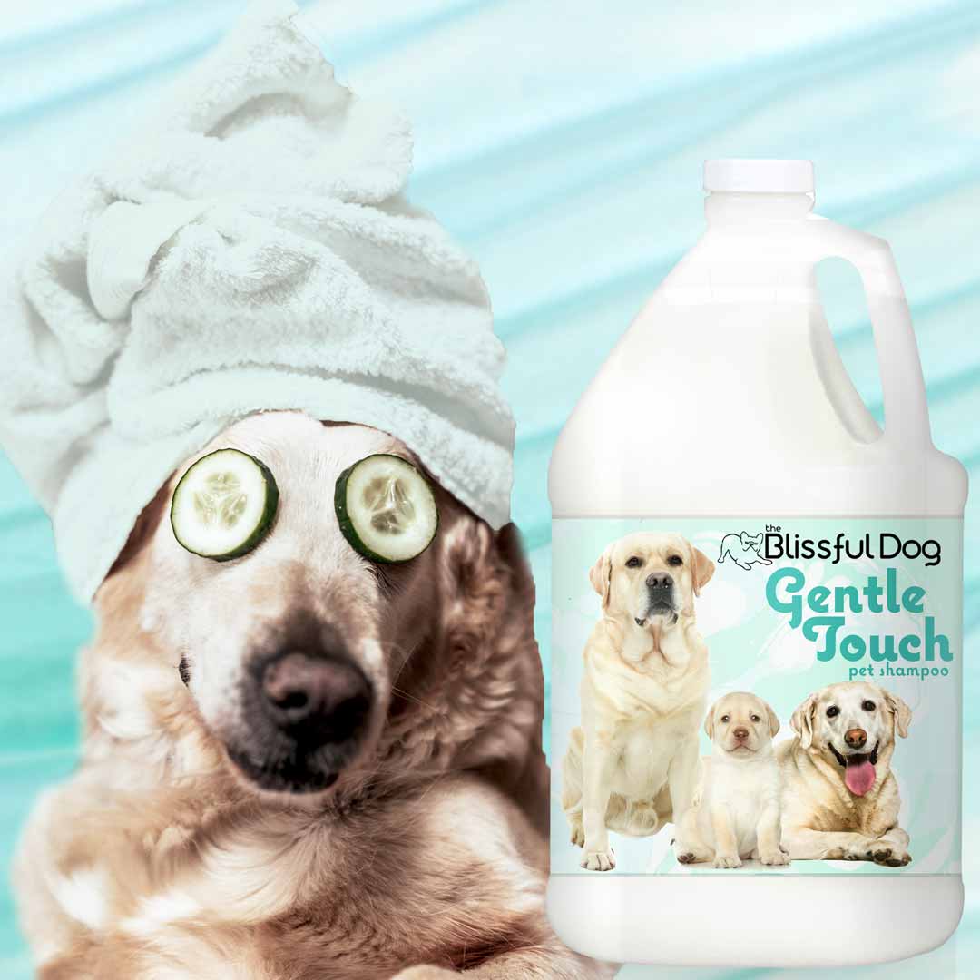 Gentle Touch Puppy Shampoo for Puppies, Seniors and Sensitive Dogs ...