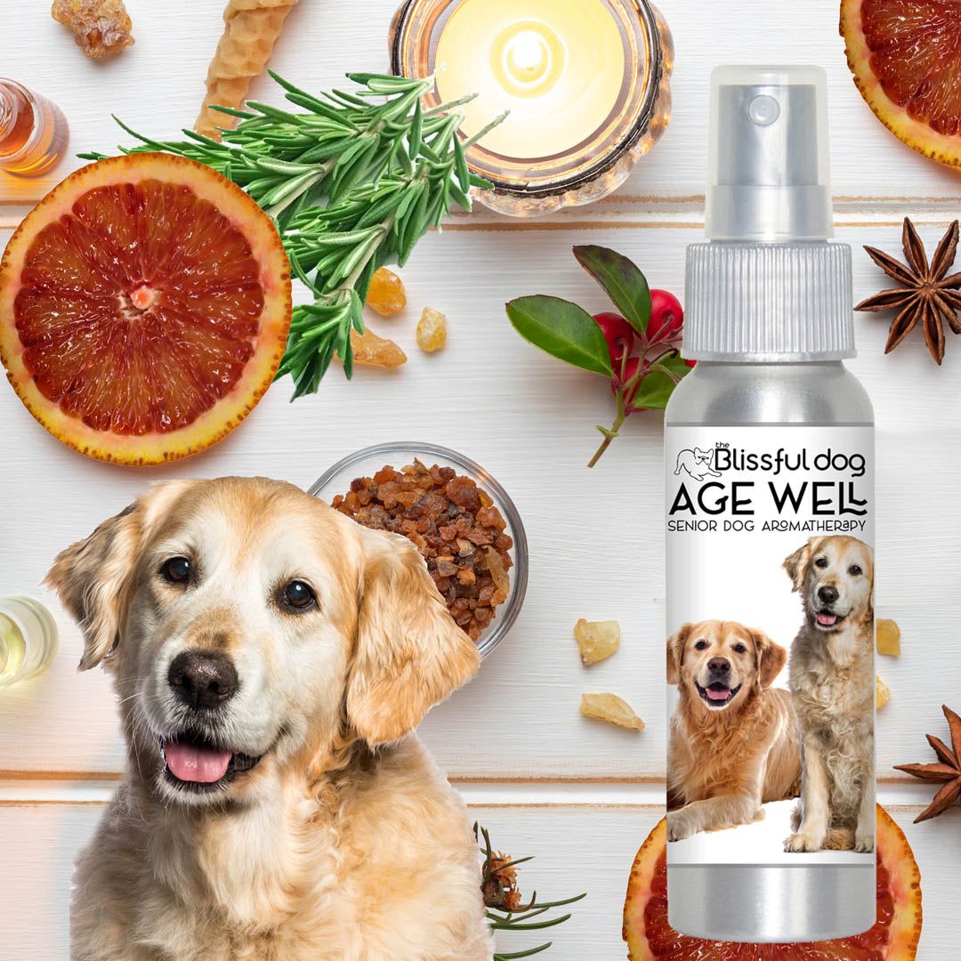 Senior Japanese Chin Age Well Dog Aromatherapy for Aging Dog Support ...