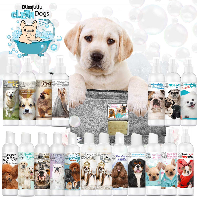 Grooming - The Blissful Dog