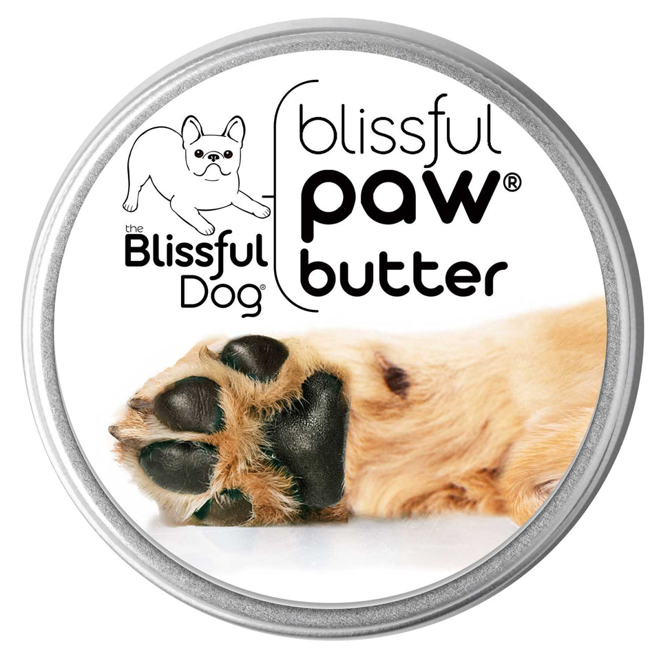 Paw Butter for Dogs | Paw Moisturizer | The Blissful Dog