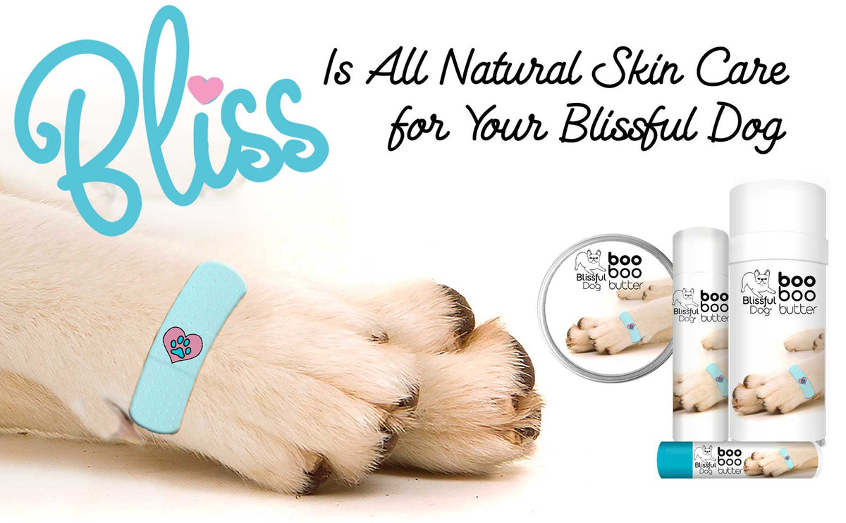 Blissful Dog Boo Boo Butter: Remedy for Dog Skin Irritation - The ...