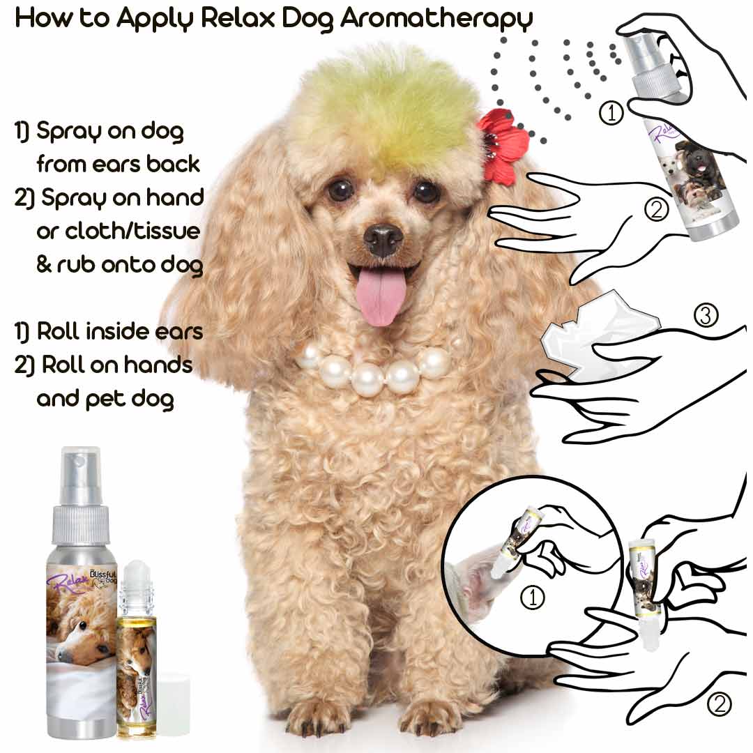 American Bulldog Relax Aromatherapy Calms Fears, Stress, Anxiety+ - The ...