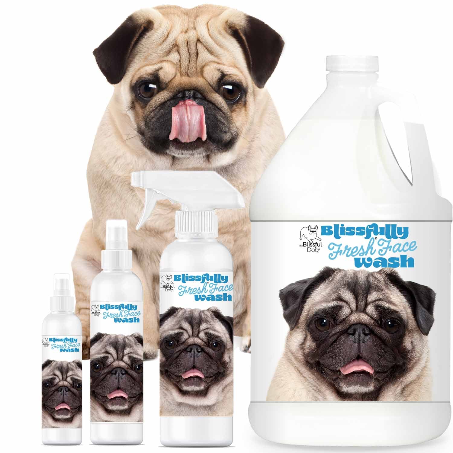 Shop The Blissful Dog Pug Collection for Pugs From Nose To Tail
