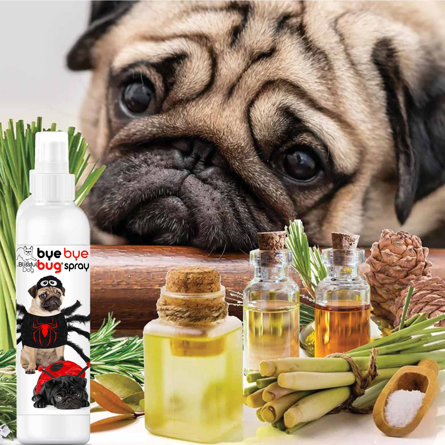 The Blissful Dog Bye Bye Bug™ Spray Banishes Biting Bugs...Naturally