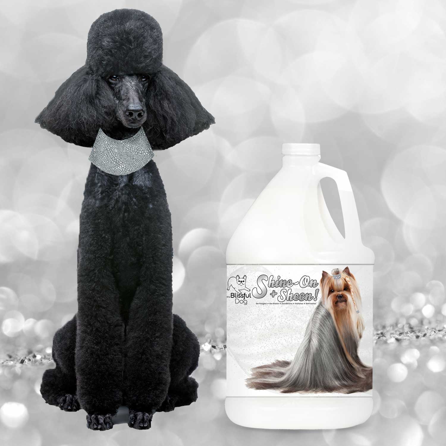 The Blissful Dog Spray Conditioner Leave-in De-Tangling, Dematt +Shine