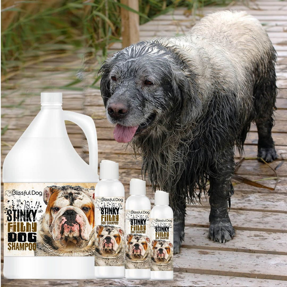 Stinky Filthy Dog Shampoo for Your Stinky, Filthy Animal of a Dog - The ...