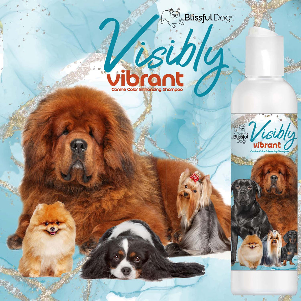 The Blissful Dog Visibly Vibrant Color Enhancing Dog Shampoo