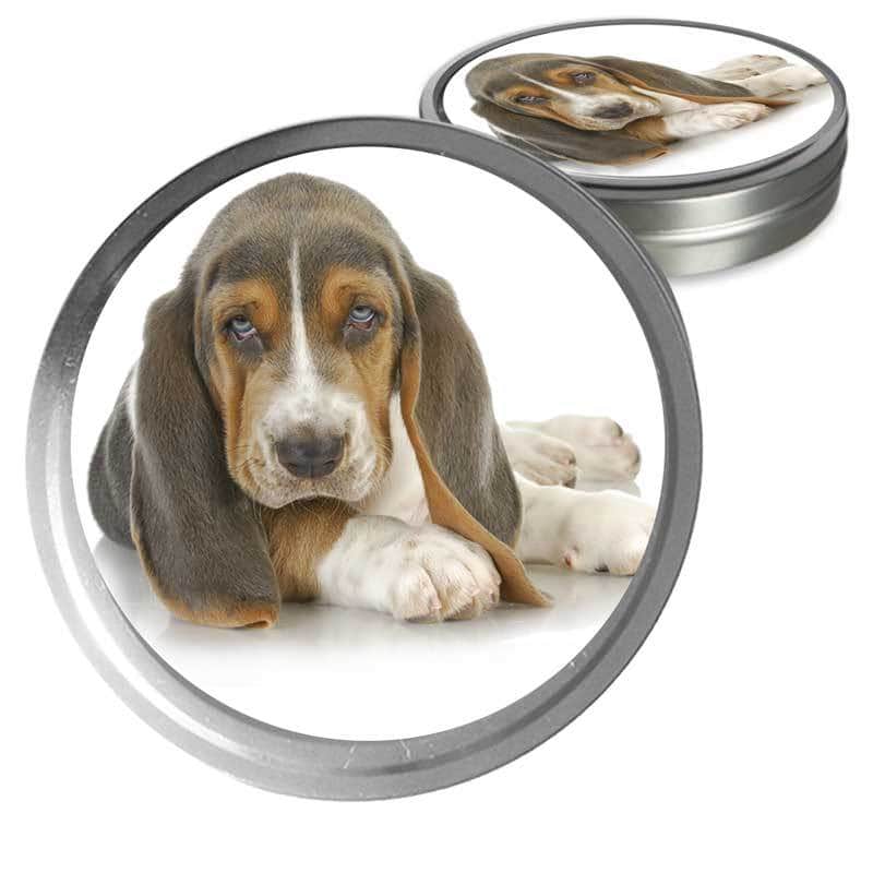 Basset Collection for Your Basset's Nose, Paws, Elbows & Stress - The ...