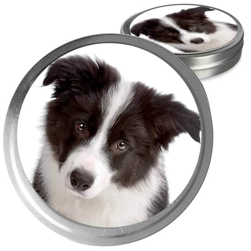 Customize Your Border Collie Care Pack - Healthy Noses, Paws & Elbows ...