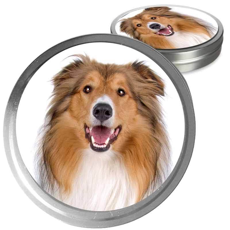 Shop The Blissful Dog Collie Dog Collection for Skin & Coat Care