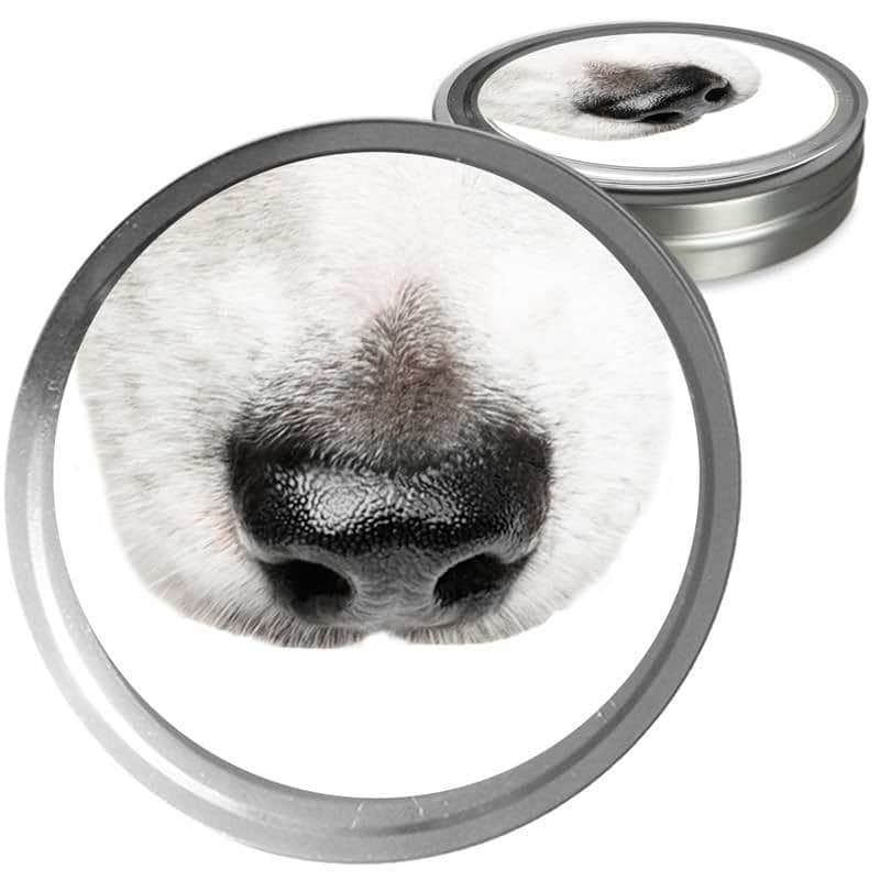 The Blissful Dog Custom Dog Skin Care Kit | Dry Skin Products for Dogs