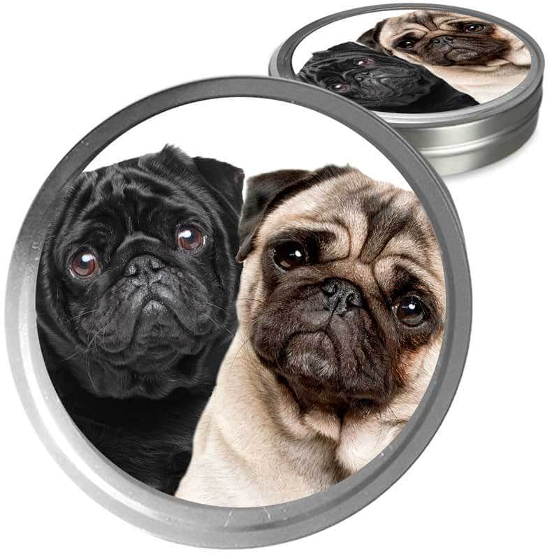 Shop The Blissful Dog Pug Collection for Pugs From Nose To Tail