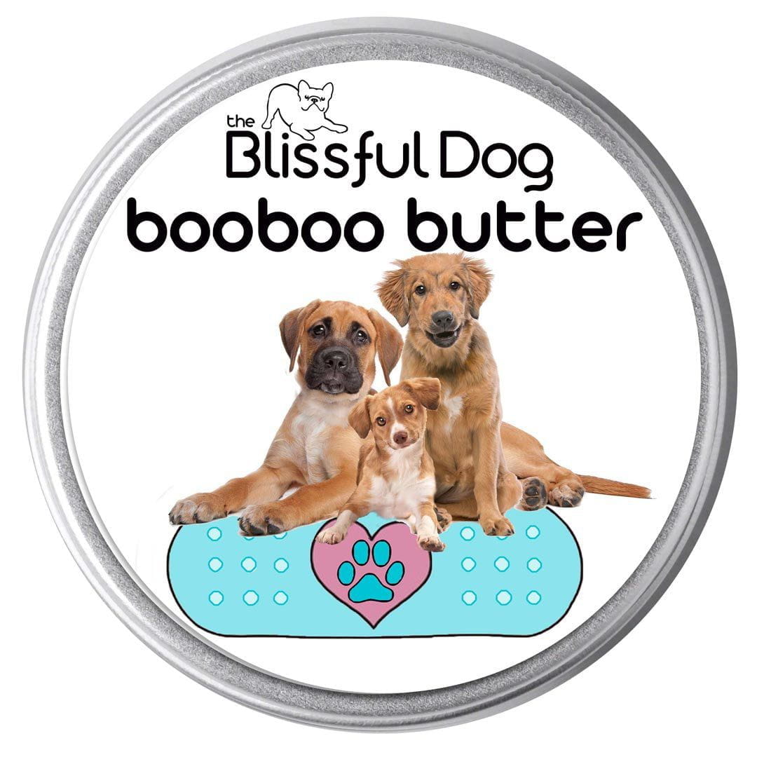 Blissful Dog Boo Boo Butter: Remedy for Dog Skin Irritation - The ...