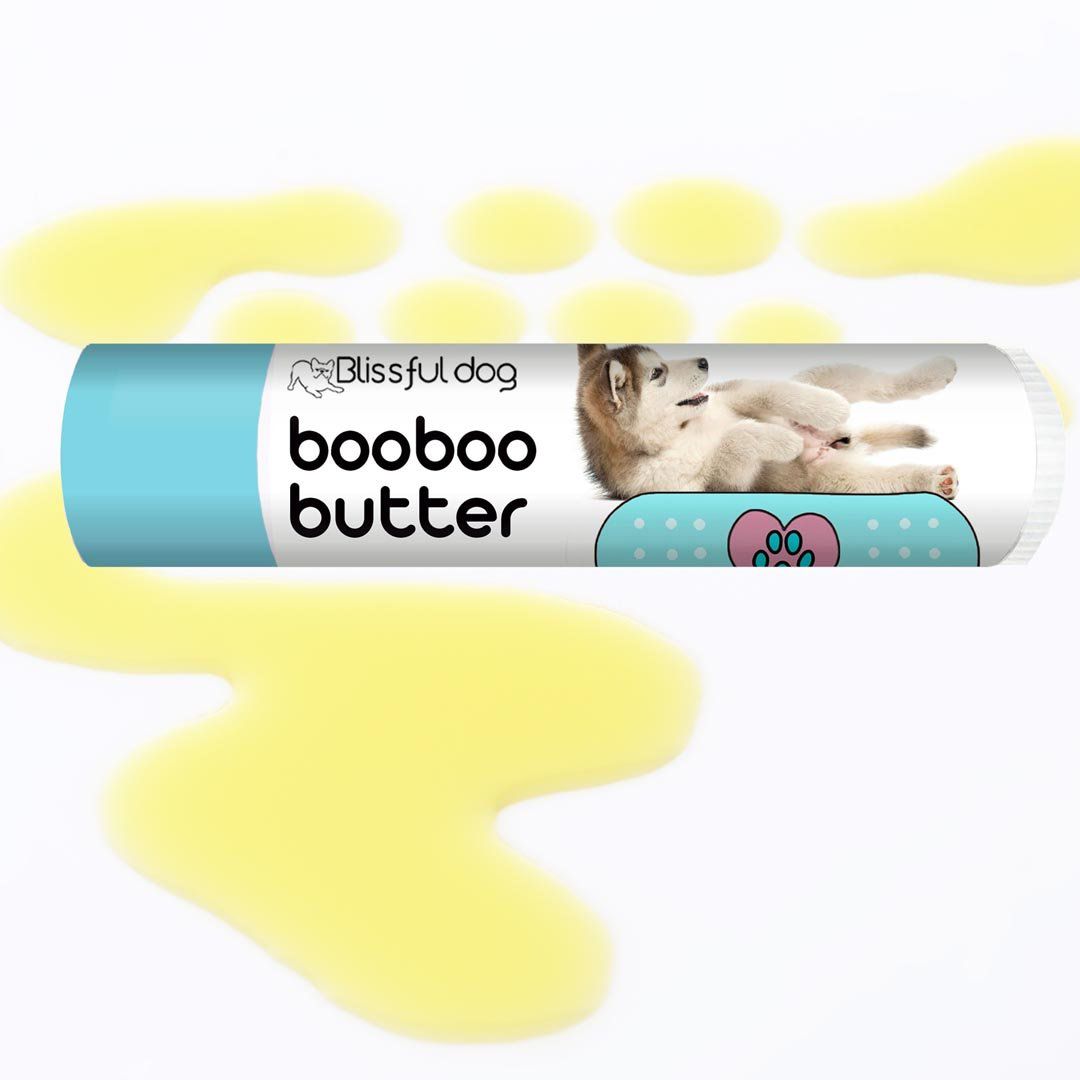 Malamute Skin Care Boo Boo Butter Your Dog's Minor Skin Irritations ...